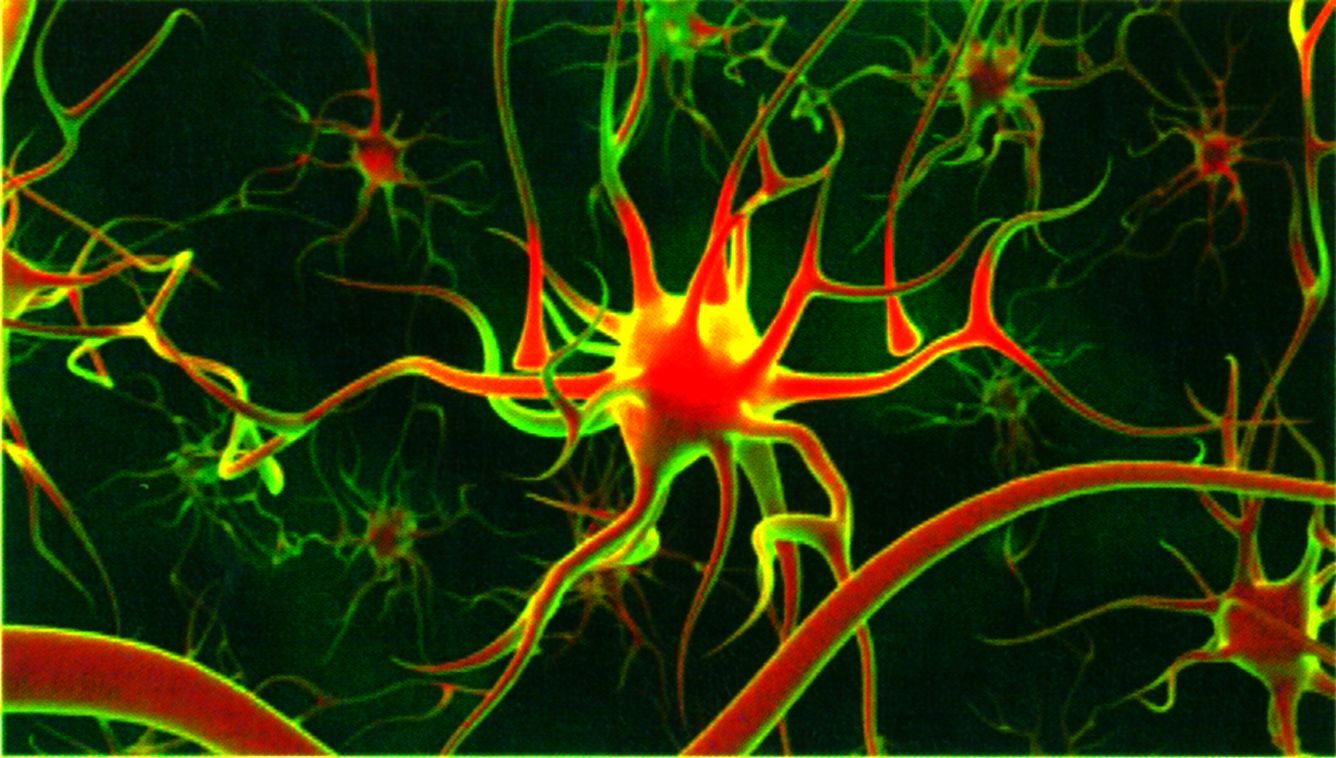 Kratom Tolerance and How to Manage it | Kratom Freak